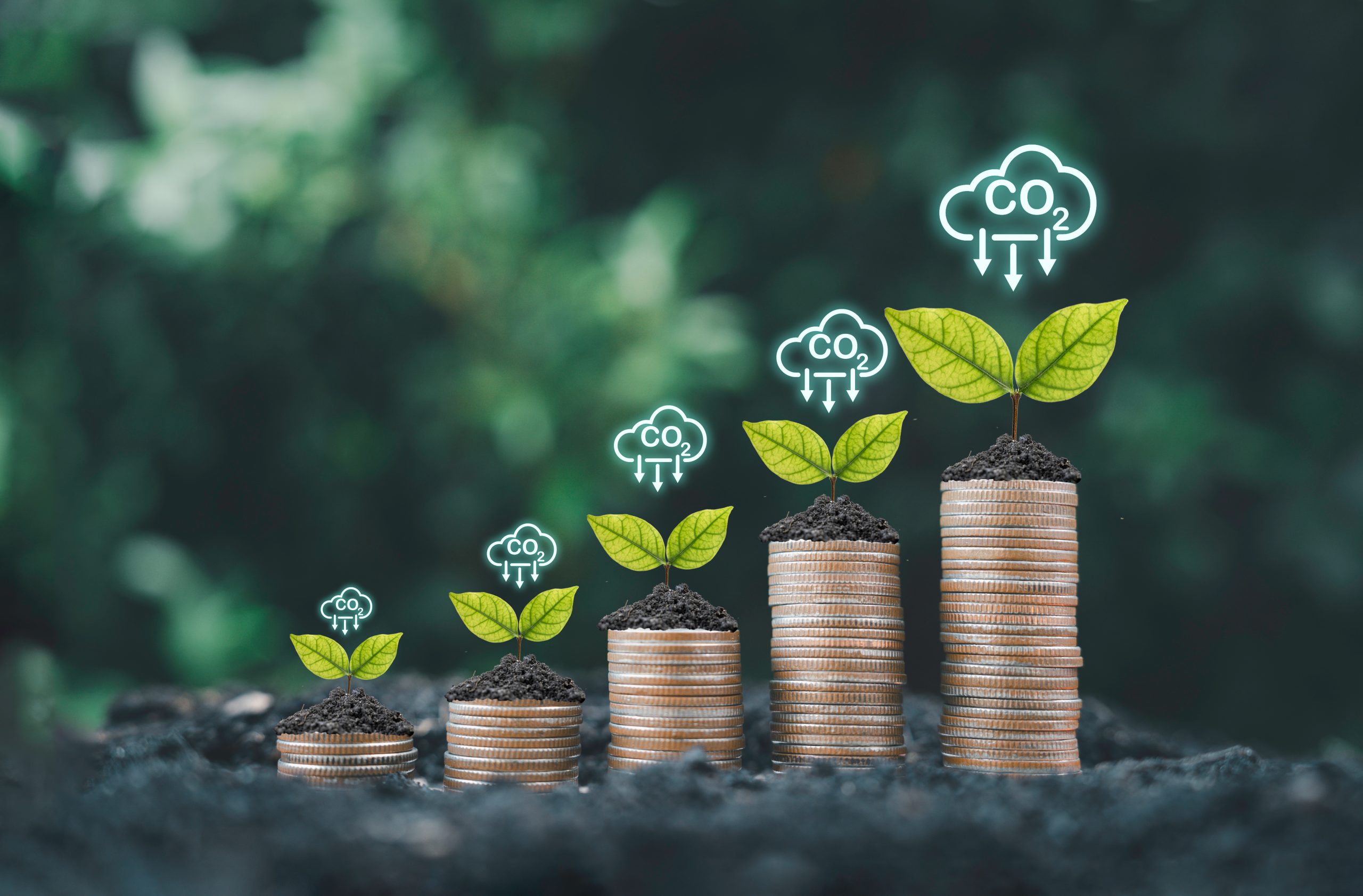 カーボンプライシング：地球の未来を守るための市場メカニズム - ECOHUB